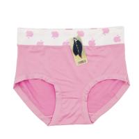 China Inner Wears for Ladies Multi-Colors Underwear for Lady Wholesale Polyester Panties Briefs Women for sale