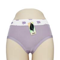 China Inner Wears for Ladies Multi-Colors Underwear for Lady Wholesale Polyester Panties Briefs Women for sale