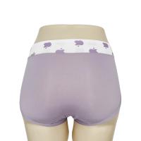 China Inner Wears for Ladies Multi-Colors Underwear for Lady Wholesale Polyester Panties Briefs Women for sale