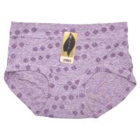 China Wholesale Women Underwear Promotion Prices High Quality Soft Comfortable Dot Pattern Jacquard Fabrics Underwear Women for sale