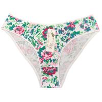 China Printing New Design Plus Size Underwear Women Wholesale Low MOQ Printing Briefs Women for sale