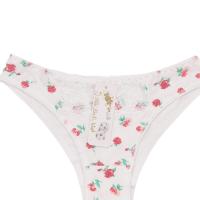 China New Arrival Ladies Hipster High Quality Wholesale Small Size for Slim Women New Design 12PCS/PACK Wholesale Underpants Women for sale