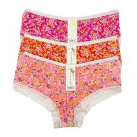 China 2024 New Style Women's Low Rise Lace Printing Floral Panties High Quality Ladies Brief Underwear Adult Wholesale Price for sale