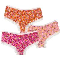 China 2024 New Style Women's Low Rise Lace Printing Floral Panties High Quality Ladies Brief Underwear Adult Wholesale Price for sale