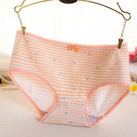 China Teenager Girls Printing Panties With Bows Chinese Sizes M-XL Cotton Wholesale Flower Printing Underpants for Teenagers for sale
