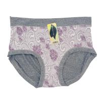 China Popular Design Warehouse Panties Best Price Women Underpants Ladies Lingerie Panties Wholesale Underwear Ladies Panties for sale