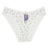 China Women's Low-rise Panties Everyday Lingerie Flower Printing Breathable and High Comfort Plus Size for Women Adults Knitted for sale