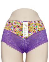 China Best Selling Wholesale Women's Sexy Lace Cotton/Polyester Printing Panties High Quality Fashionable Plus Women Underwear Panties for sale