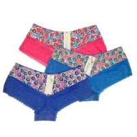 China Best Selling Wholesale Women's Sexy Lace Cotton/Polyester Printing Panties High Quality Fashionable Plus Women Underwear Panties for sale