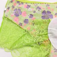 China Women Panties Colorful Underwear Hipster Lace Ladies Panties High Quality New Design of Wholesale Color Panties Sexy for sale