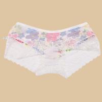 China 2025 Women Fashion Hipster Ready to Ship Item Wholesale Women Panty Knickers New Arrival Women Printing Flowers Panty for sale