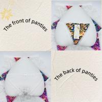 China Lingerie Women Panties Printing Breathable Lace Panties  Everyday Multi-color for Women for sale
