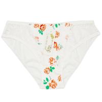 China 2025 Spring Design High Quality Good Material 12pcs/Pack Flowers Printing Lace Underpants for Women for sale