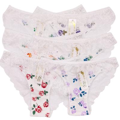 China Wholesale Women's Lace Brief Lingerie Panties Sexy at Low Price  Wholesale Women Lace Panties for sale
