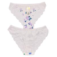 China Wholesale Women's Lace Brief Lingerie Panties Sexy at Low Price  Wholesale Women Lace Panties for sale
