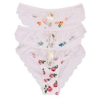 China Wholesale Women's Lace Brief Lingerie Panties Sexy at Low Price  Wholesale Women Lace Panties for sale