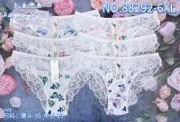 China Wholesale Women's Lace Brief Lingerie Panties Sexy at Low Price  Wholesale Women Lace Panties for sale