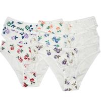 China Women's Factory Direct Low-Waist Lace Cotton Hipster Lingerie Panties Fashionable for Wholesale-Girls Panties for sale