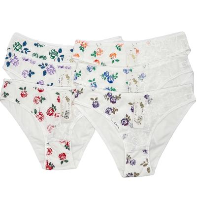 China Women's Factory Direct Low-Waist Lace Cotton Hipster Lingerie Panties Fashionable for Wholesale-Girls Panties for sale