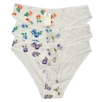 China Women's Factory Direct Low-Waist Lace Cotton Hipster Lingerie Panties Fashionable for Wholesale-Girls Panties for sale