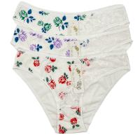 China Women's Factory Direct Low-Waist Lace Cotton Hipster Lingerie Panties Fashionable for Wholesale-Girls Panties for sale