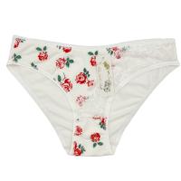 China Women's Factory Direct Low-Waist Lace Cotton Hipster Lingerie Panties Fashionable for Wholesale-Girls Panties for sale