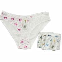 China Lingerie Wholesale Female Lace Briefs Breathable Women's Sexy Cotton Panties Ladies Underwear for sale