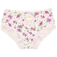 China New Design Lace Women Panties Wholesale Cheap Price Brief 35% Cotton Ladies Underwear for sale
