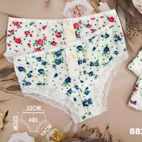 China New Design Lace Women Panties Wholesale Cheap Price Brief 35% Cotton Ladies Underwear for sale