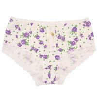 China New Design Lace Women Panties Wholesale Cheap Price Brief 35% Cotton Ladies Underwear for sale