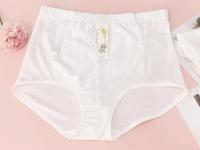 China Women New Design White Color Underwear Panties Wholesale 6XL Panties for Women for sale