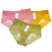 China New Design Recommend  Women's Cotton Briefs Lace Underwear Fast Shipping Lace Brief Underwear for Women for sale