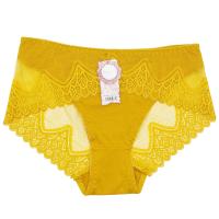 China New Design Recommend  Women's Cotton Briefs Lace Underwear Fast Shipping Lace Brief Underwear for Women for sale