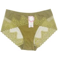 China New Design Recommend  Women's Cotton Briefs Lace Underwear Fast Shipping Lace Brief Underwear for Women for sale