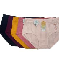 China Women's Fashion Comfortable Modal Hipster Brief Young Lady's Adult Underwear Panties Multi-Colors Wholesale Price for sale