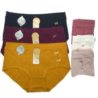China Women's Fashion Comfortable Modal Hipster Brief Young Lady's Adult Underwear Panties Multi-Colors Wholesale Price for sale