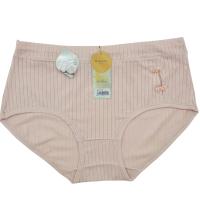 China Women's Fashion Comfortable Modal Hipster Brief Young Lady's Adult Underwear Panties Multi-Colors Wholesale Price for sale