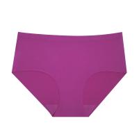 China Ice Silk Touch Women Slip Wholesale Middle Waist Seamless Underwear Ladies Solid Seamless Panties Summer Spring for sale