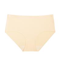 China Ice Silk Touch Women Slip Wholesale Middle Waist Seamless Underwear Ladies Solid Seamless Panties Summer Spring for sale