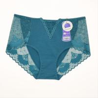 China Factory Sale Women's Lace Panties Floral Knitted Lingerie Plus Size Women's Panties for sale