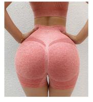 China 2025 Yoga Panties Underwear Women Keep Fit Breathable Yoga Underpants Wholesale Prices Yoga Underwear Women for sale