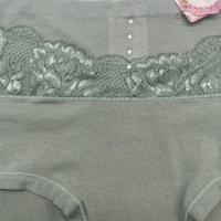 China OEM/ODM Support Women High-Waisted Panties 95% Combed Cotton Everyday Style Underpants for Women for sale