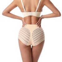 China Women's Underwear Summer Ice Silk High Elastic Waist Plus Size Breathable Mesh Sexy Lace Briefs for Women for sale
