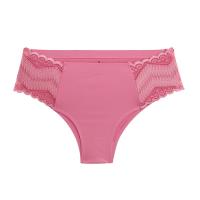 China Hot Selling Women Seamless Panties Bikini Ice Silk Lace Design Bikini Seamless for Women for sale