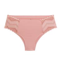 China Hot Selling Women Seamless Panties Bikini Ice Silk Lace Design Bikini Seamless for Women for sale