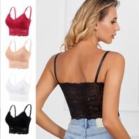 China Women Lace Bra High Quality Lace Undergarments S-XL Sizes Available Multi-Colors Women Underpants Wholesale Sourcing Bra for sale