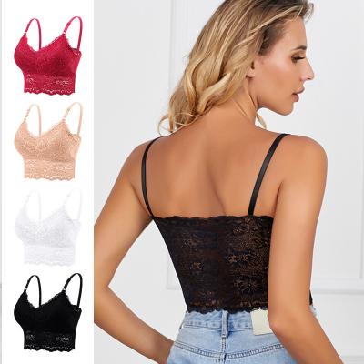 China Women Lace Bra High Quality Lace Undergarments S-XL Sizes Available Multi-Colors Women Underpants Wholesale Sourcing Bra for sale