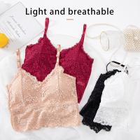 China Women Lace Bra High Quality Lace Undergarments S-XL Sizes Available Multi-Colors Women Underpants Wholesale Sourcing Bra for sale