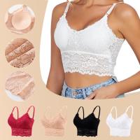 China Women Lace Bra High Quality Lace Undergarments S-XL Sizes Available Multi-Colors Women Underpants Wholesale Sourcing Bra for sale