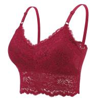 China Women Lace Bra High Quality Lace Undergarments S-XL Sizes Available Multi-Colors Women Underpants Wholesale Sourcing Bra for sale